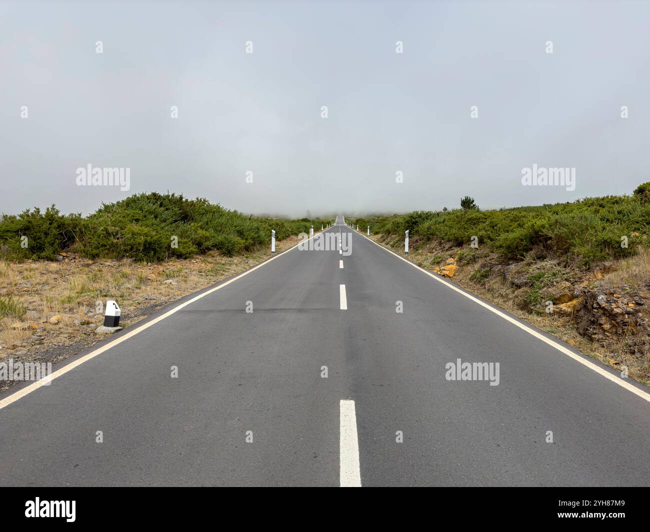 An empty, straight, paved road with a white dividing strip, stretching ...