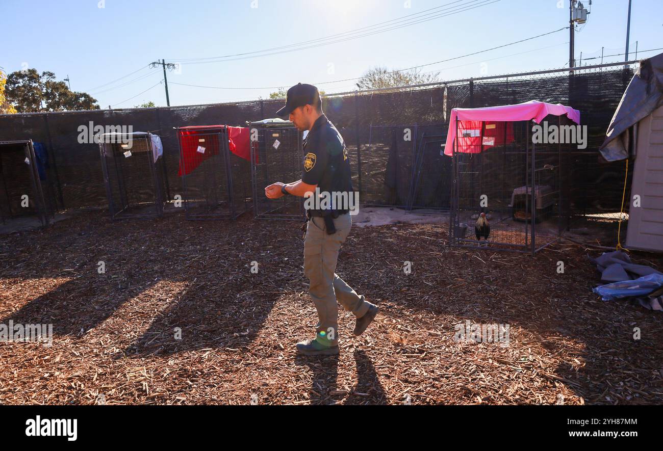 Camarillo, California, USA. 8th Nov, 2024. Small animals evacuated from ...