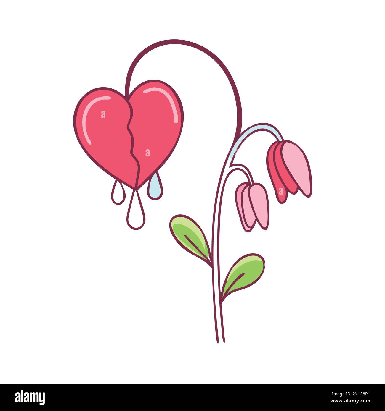 vector illustration of a bleeding heart flower, for floral designs ...