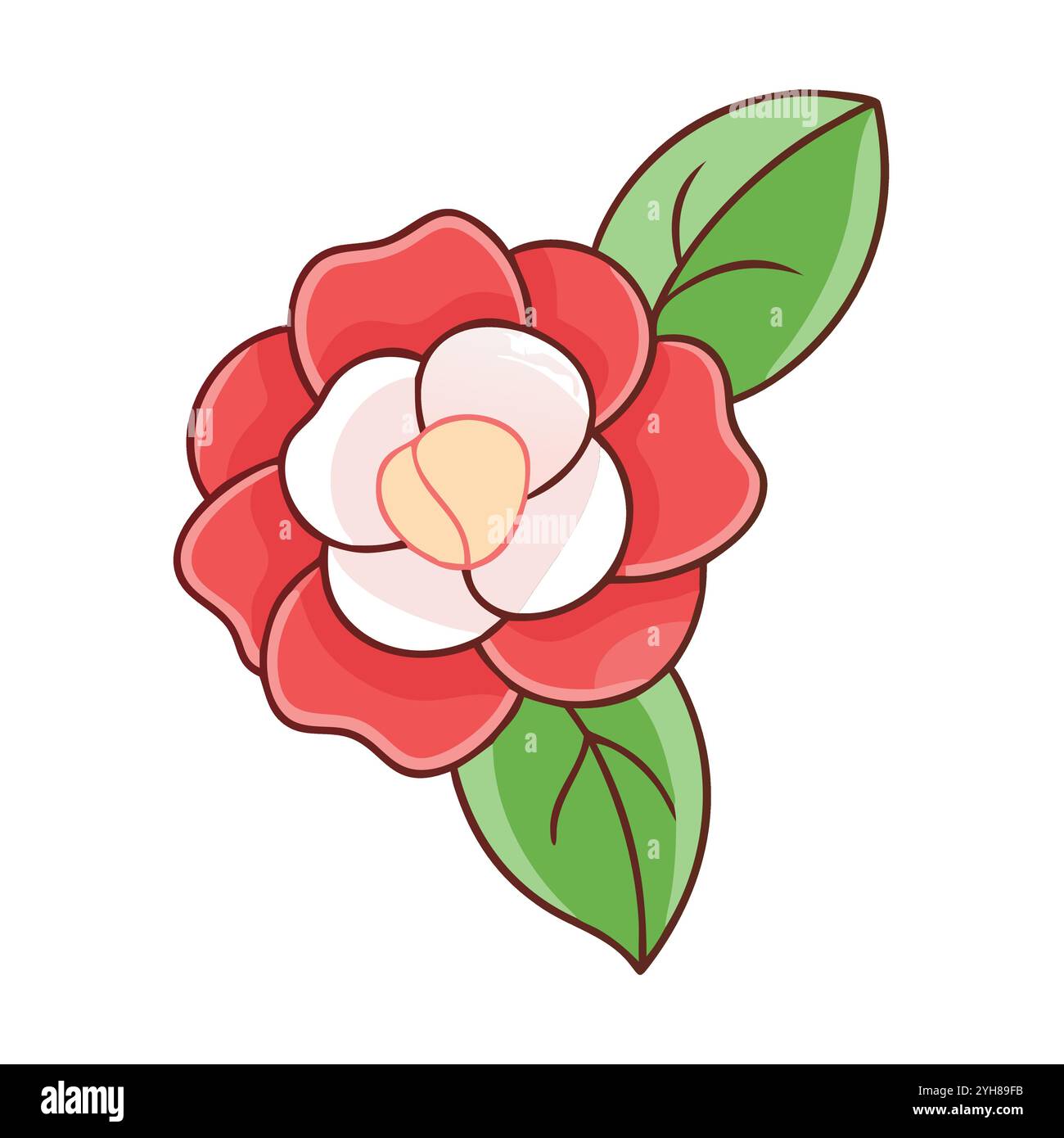 vector illustration of a camellia flower, for floral designs, botanical ...
