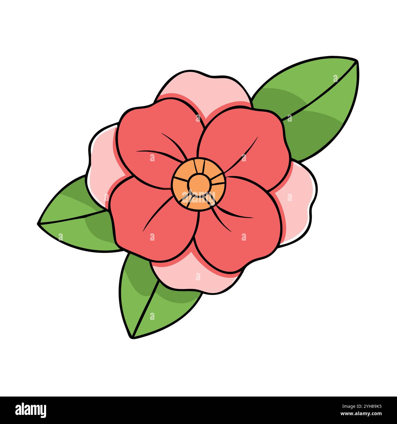 vector illustration of a camellia flower, for floral designs, botanical ...