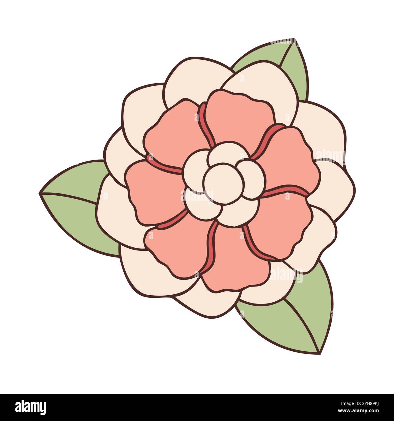 vector illustration of a camellia flower, for floral designs, botanical ...