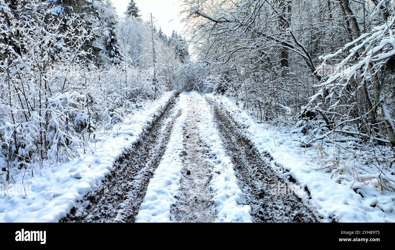 Soil road in winter hi-res stock photography and images - Alamy