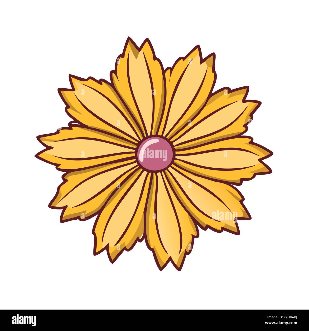vector illustration of a coreopsis flower, for floral designs ...