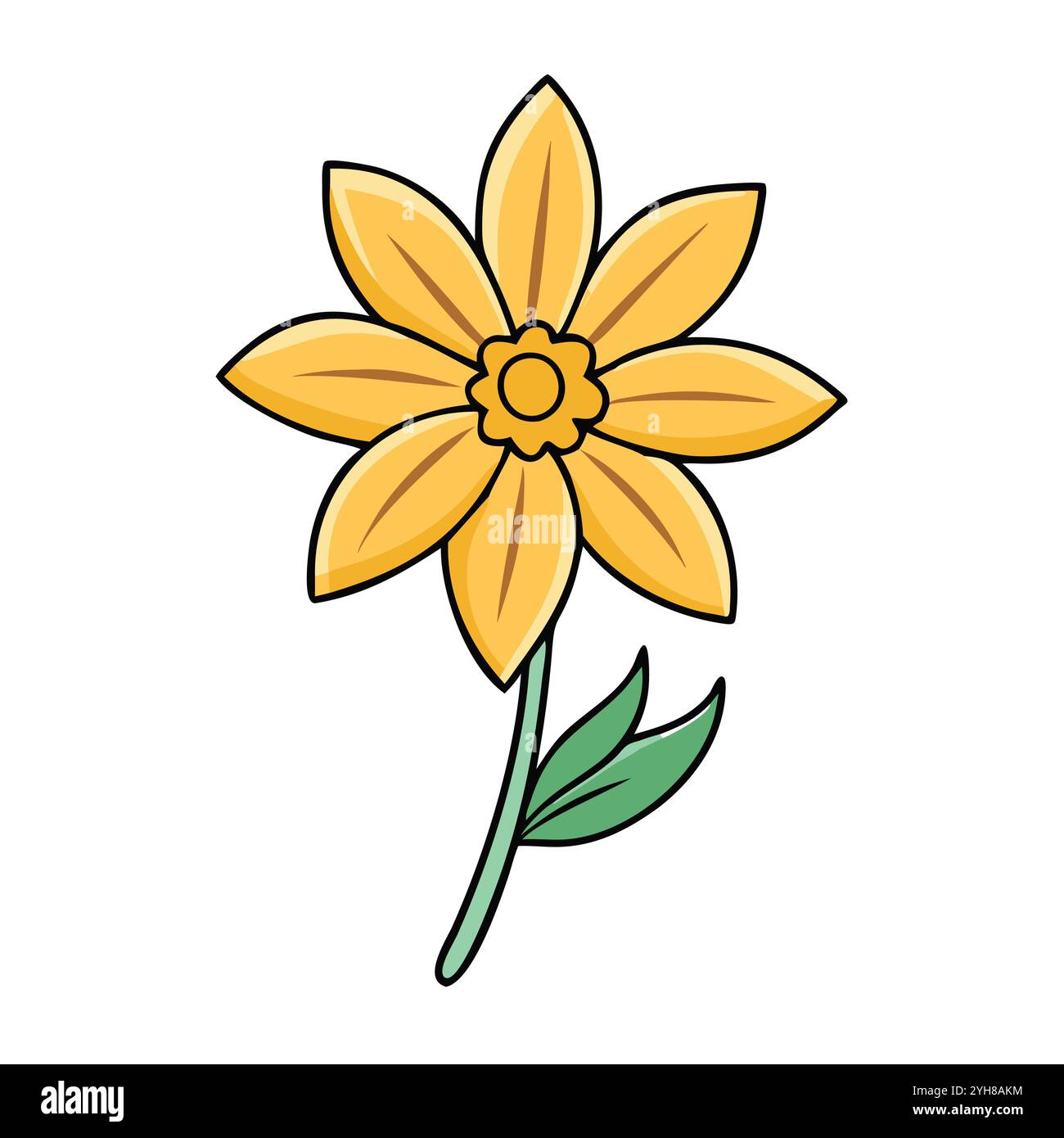 vector illustration of a coreopsis flower, for floral designs ...