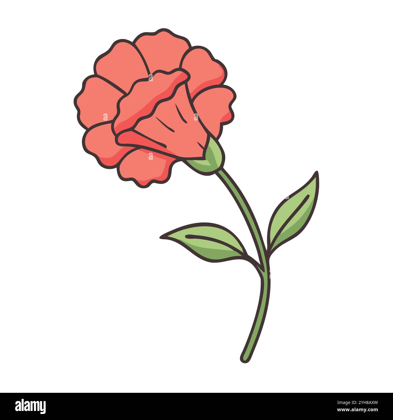 vector illustration of a carnation flower, for floral designs ...