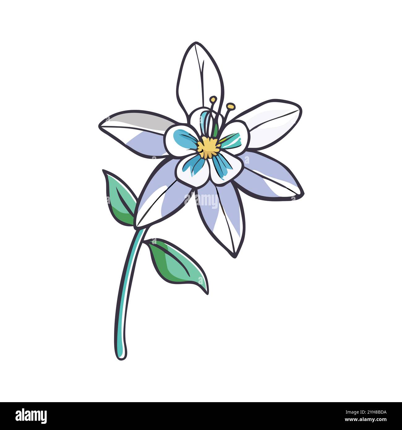 vector illustration of a columbine flower, for floral designs ...