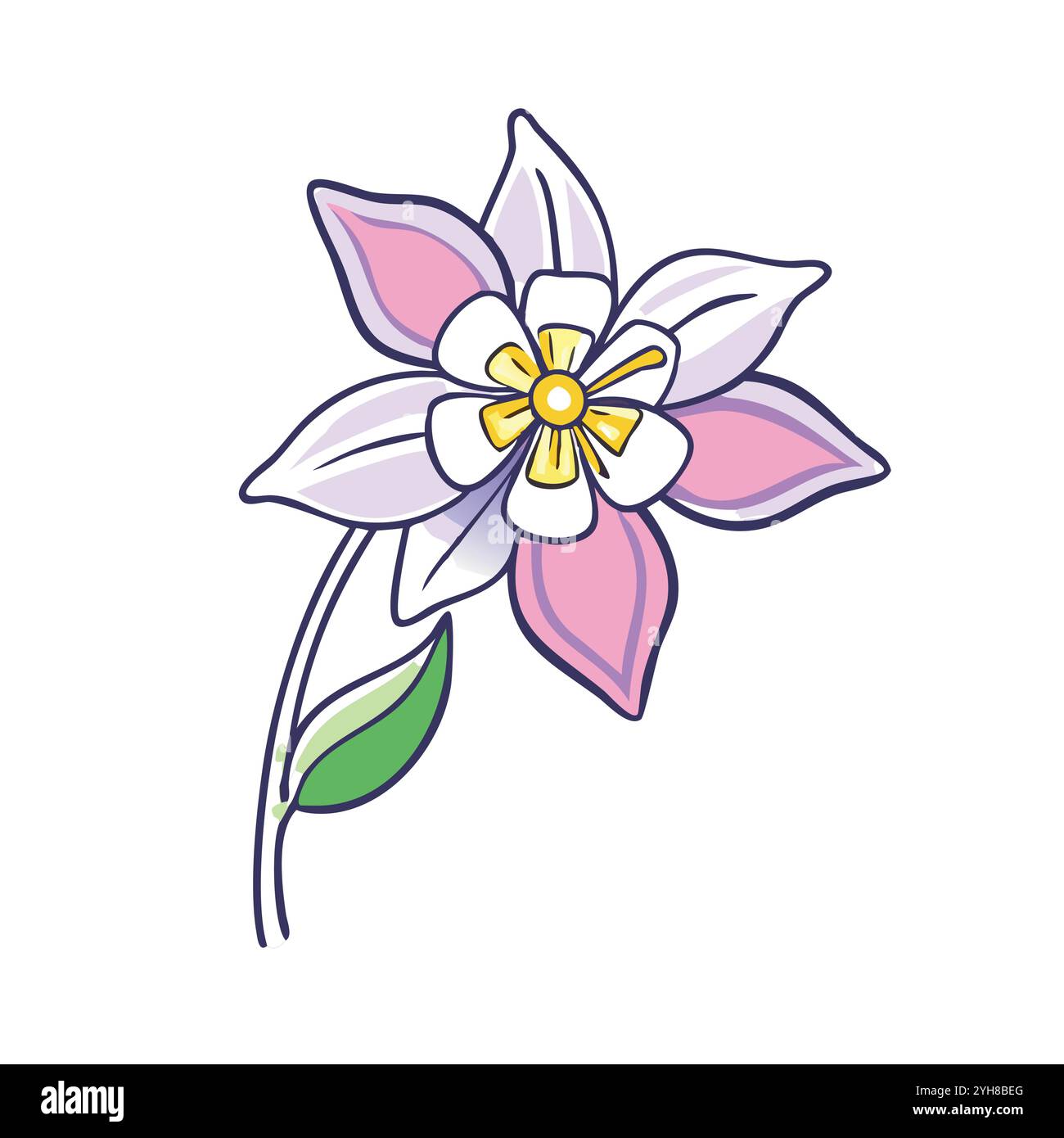 vector illustration of a columbine flower, for floral designs ...
