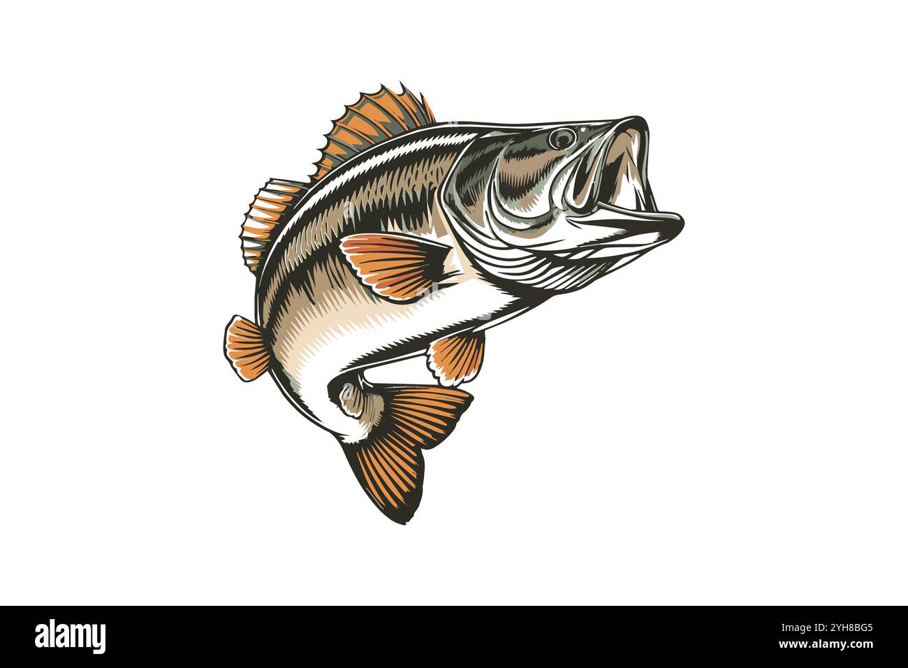 Bass fish vector clipart design template illustrations Stock Vector ...