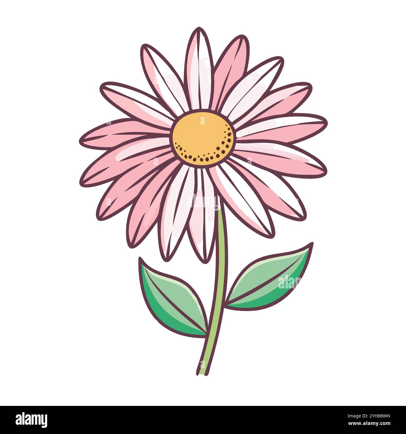 vector illustration of a cone flower echinacea flower, for floral ...