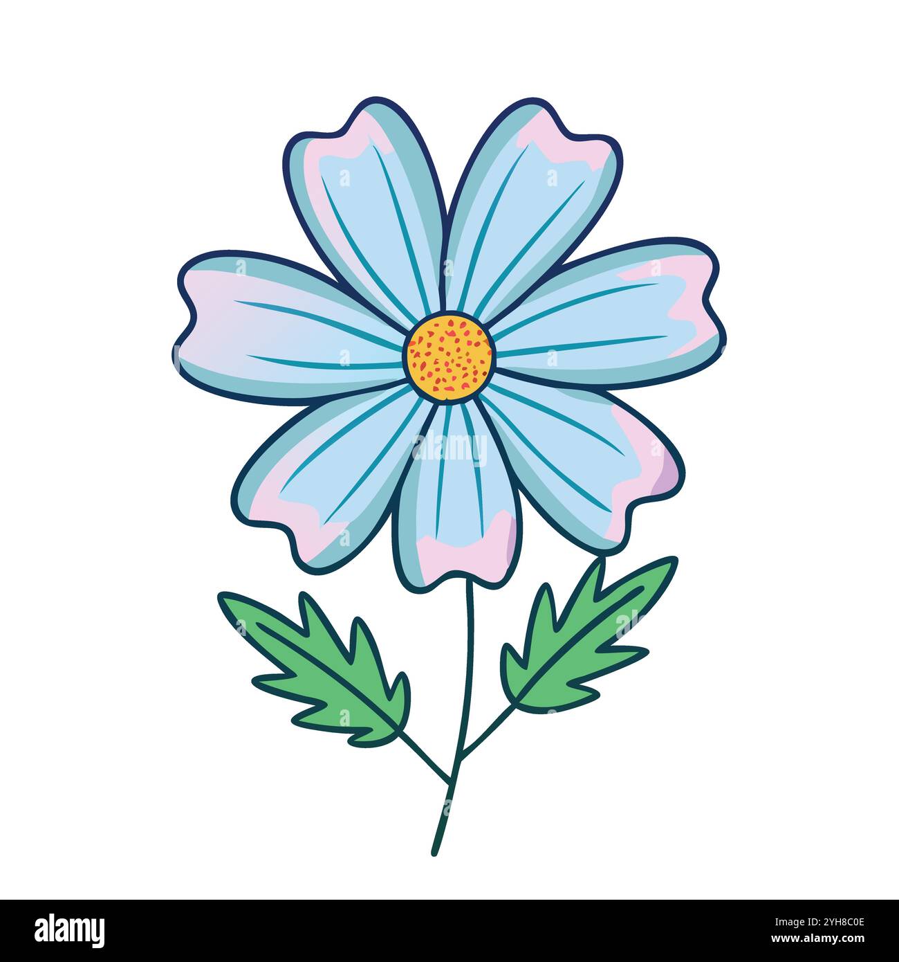 vector illustration of a cosmos flower, for floral designs, botanical ...