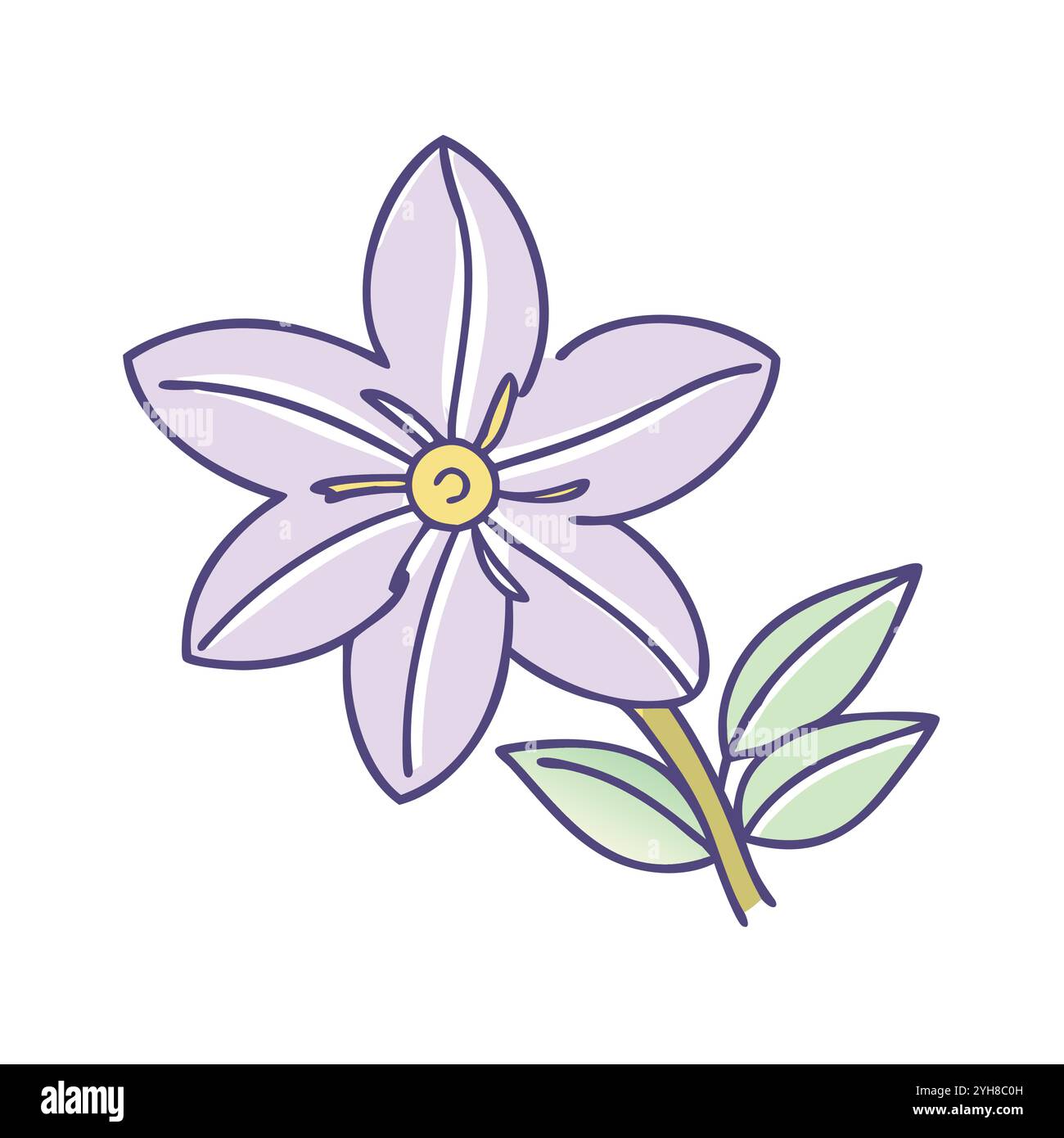 vector illustration of a creeping phlox flower, for floral designs ...