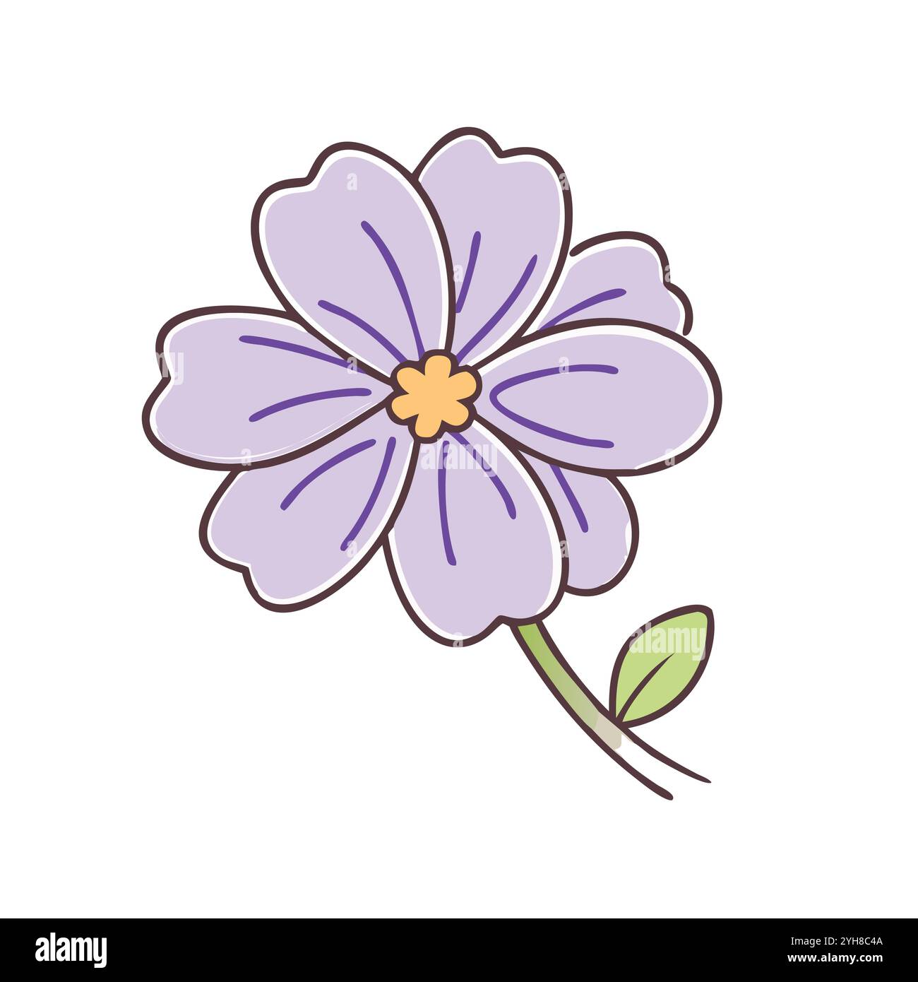 vector illustration of a creeping phlox flower, for floral designs ...