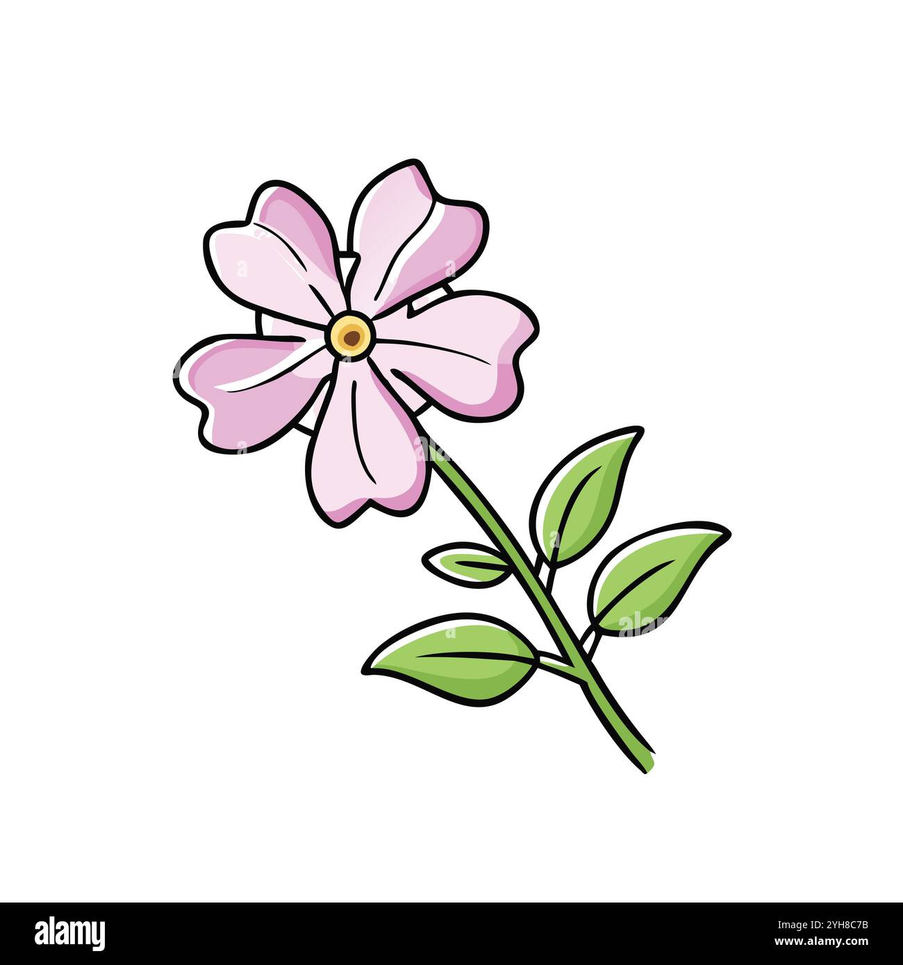 vector illustration of a creeping phlox flower, for floral designs ...