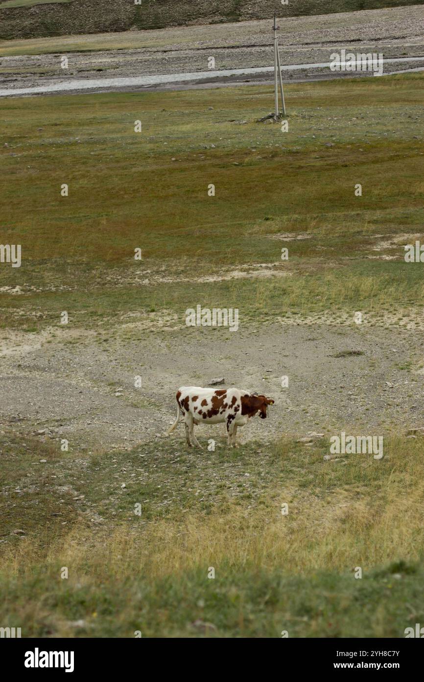 This vertically-oriented photograph captures a peaceful rural scene in ...