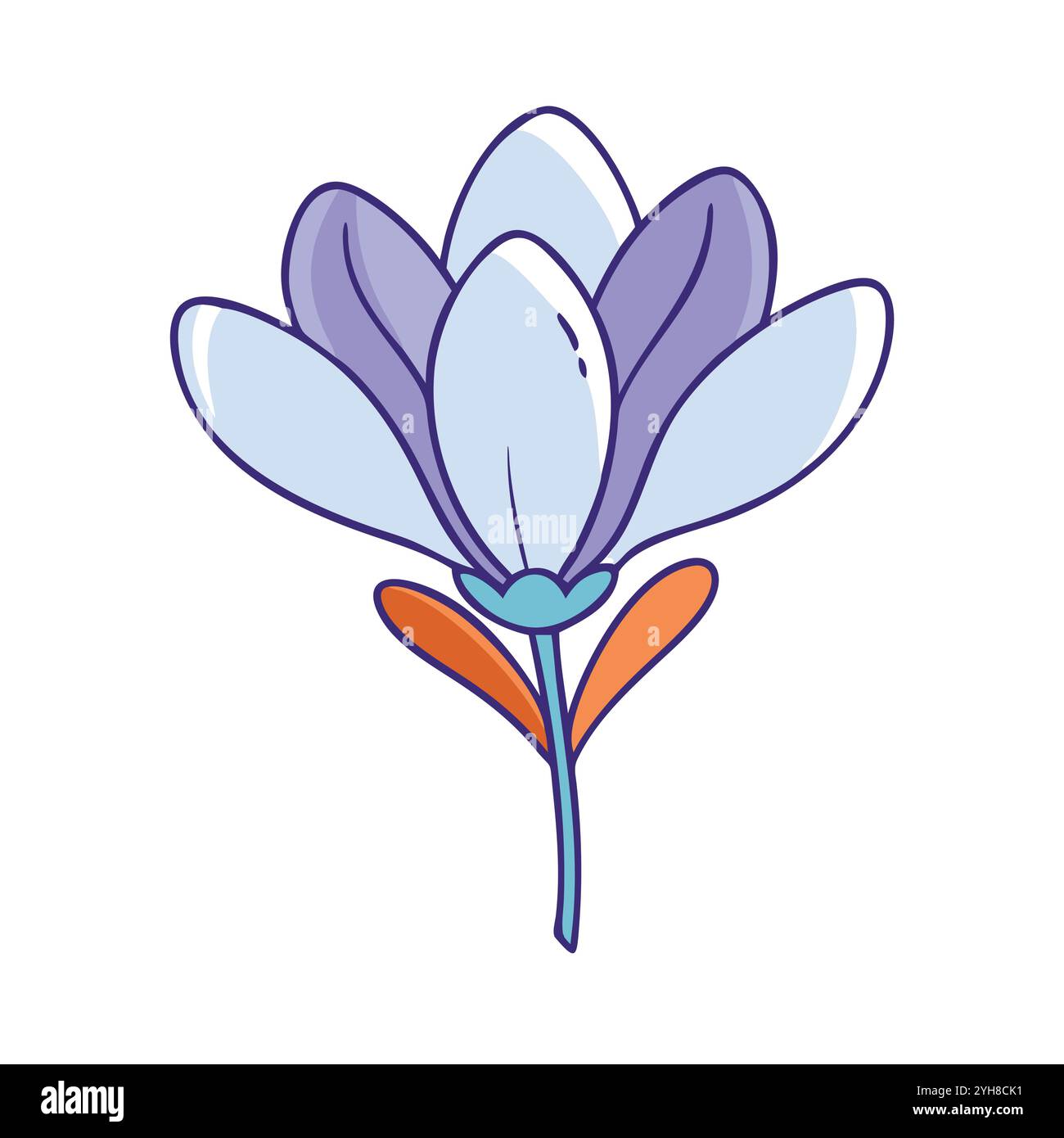 vector illustration of a crocus flower, for floral designs, botanical ...