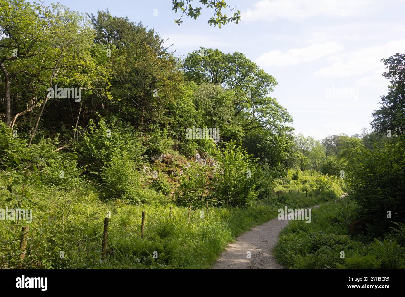Footpath through Gait Barrows Nature Reserve Arnside Westmorland and ...