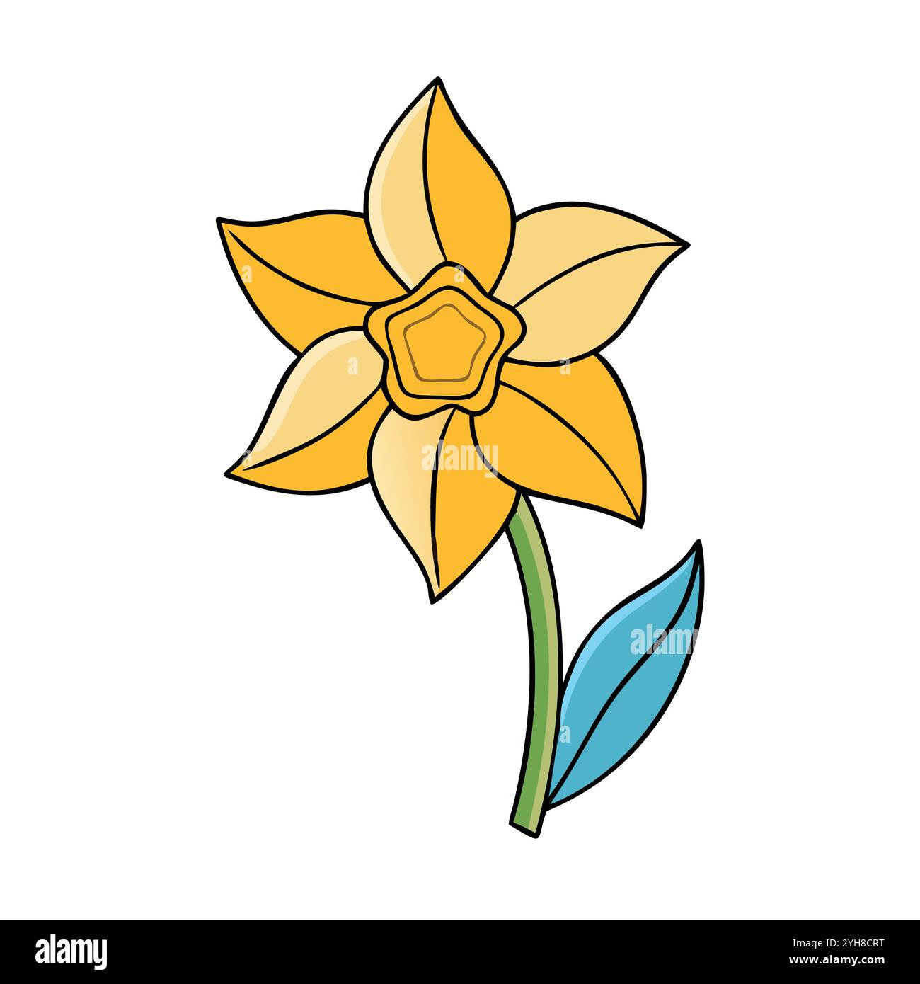 vector illustration of a daffodil flower, for floral designs, botanical ...