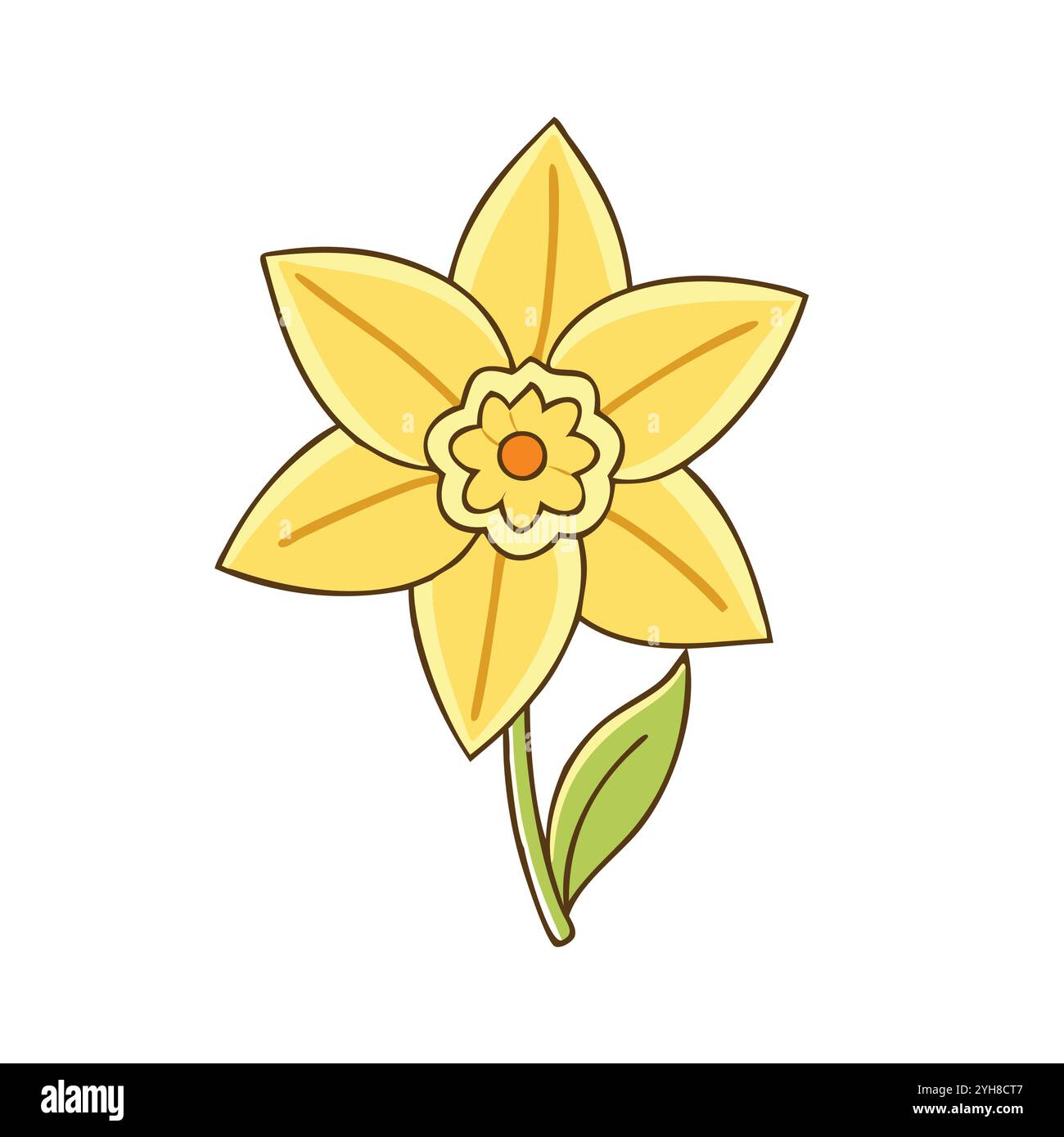 vector illustration of a daffodil flower, for floral designs, botanical ...