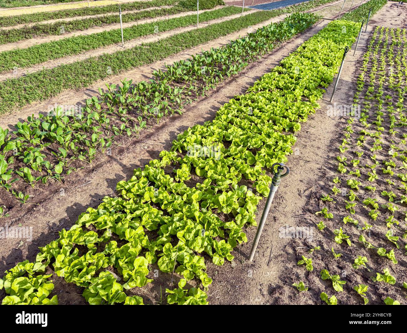 Garden of the gards hi-res stock photography and images - Alamy