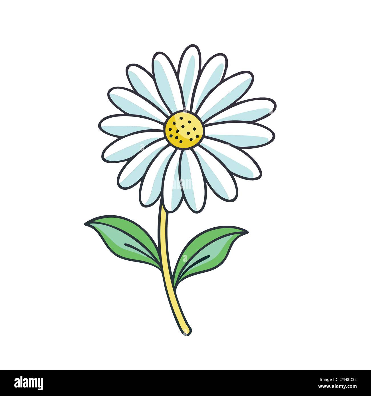 vector illustration of a daisy flower, for floral designs, botanical ...