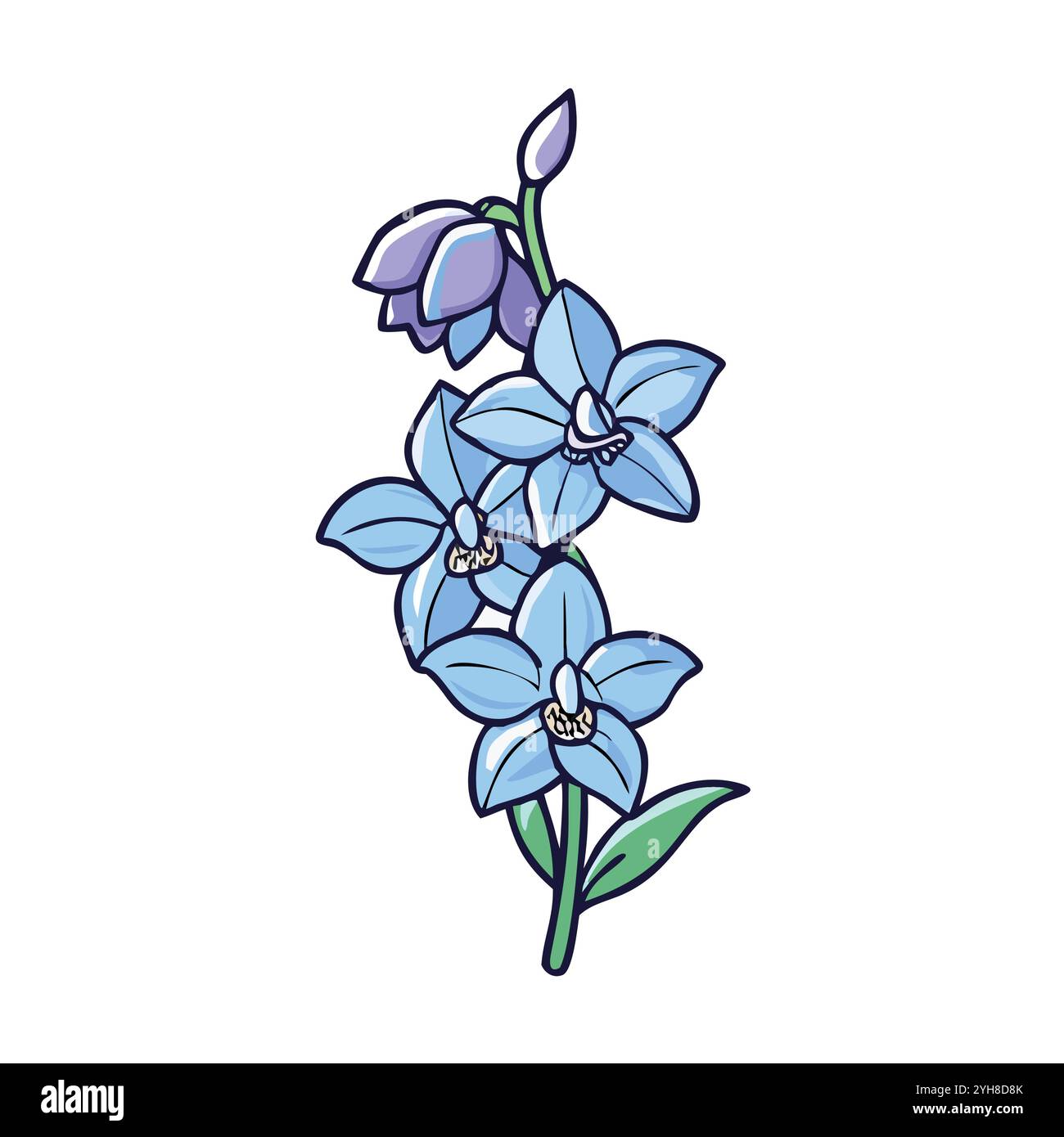 vector illustration of a delphinium flower, for floral designs ...