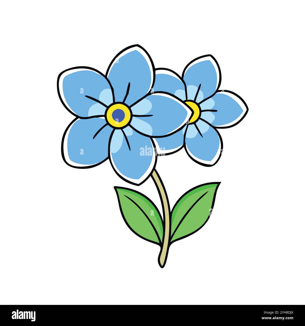 vector illustration of a forget me not flower, for floral designs ...