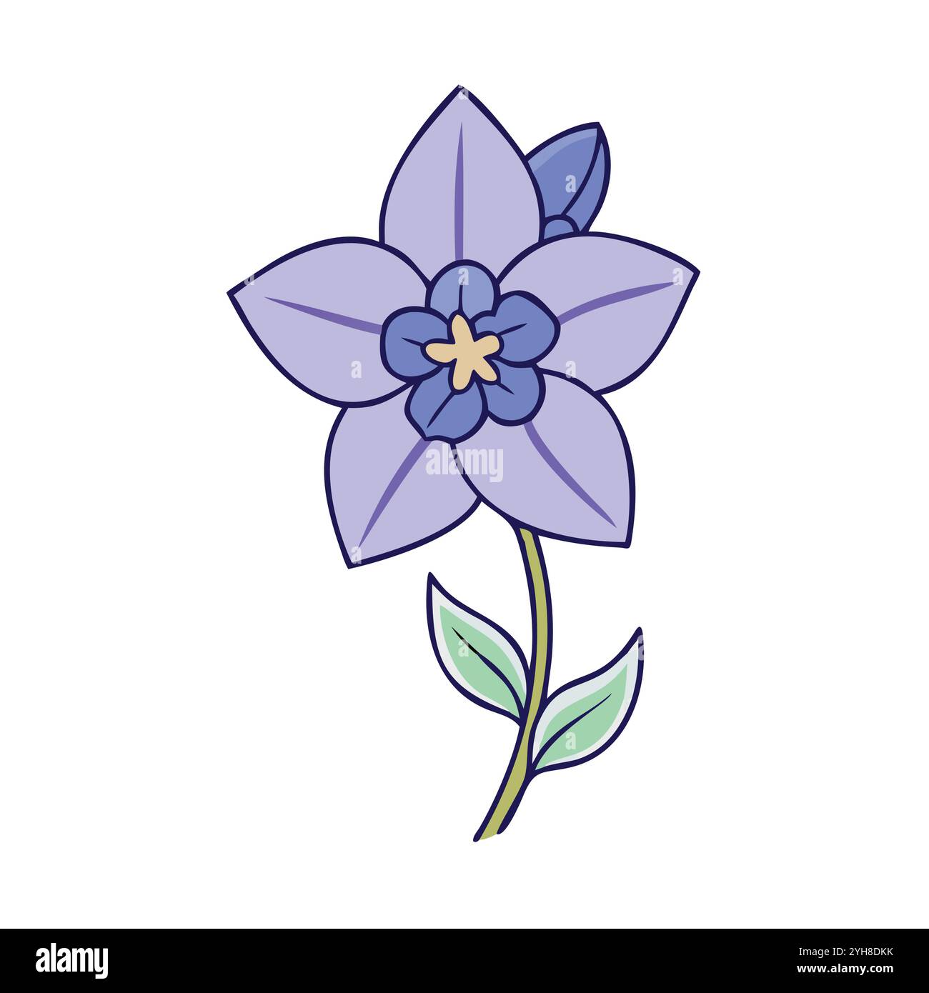 vector illustration of a delphinium flower, for floral designs ...