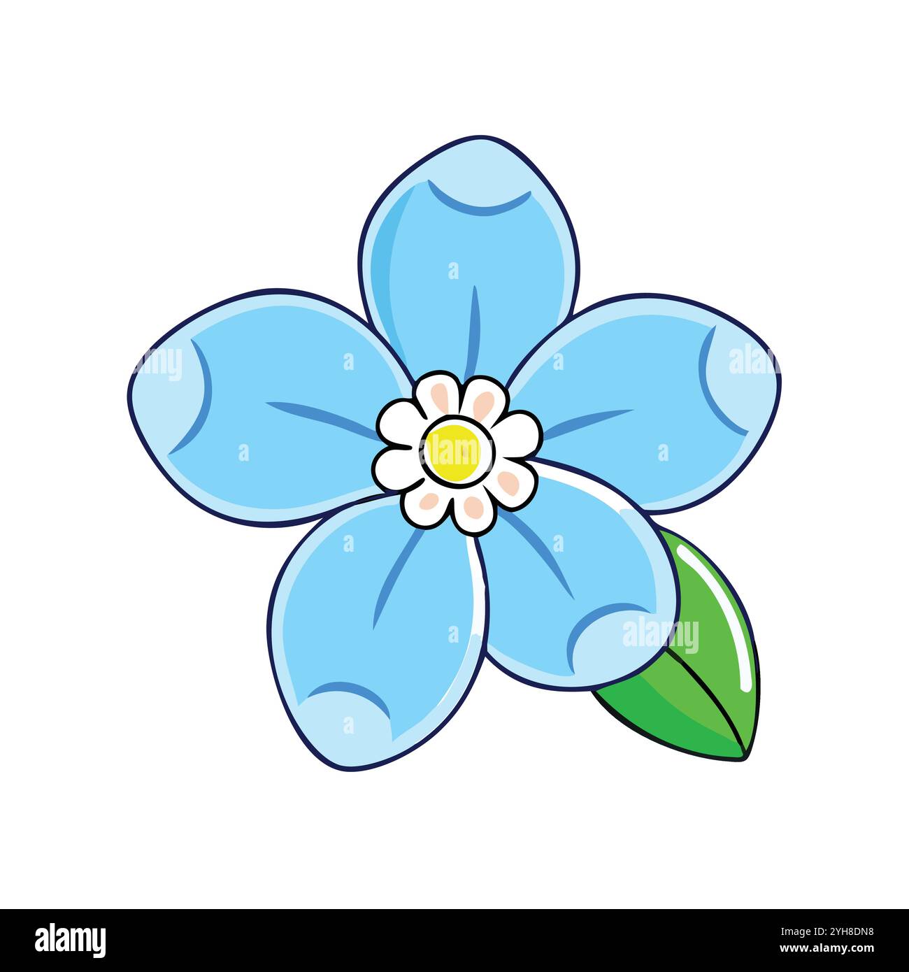vector illustration of a forget me not flower, for floral designs ...