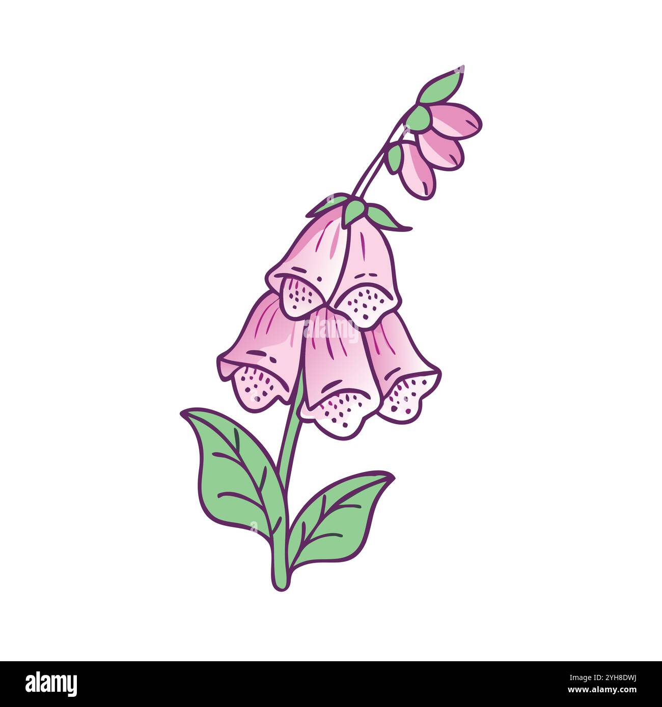vector illustration of a foxglove flower6, for floral designs ...