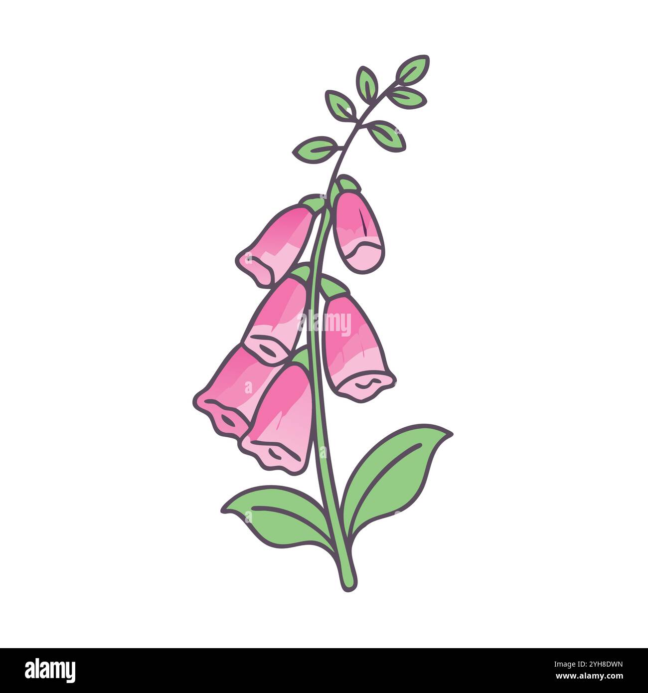vector illustration of a foxglove flower, for floral designs, botanical ...