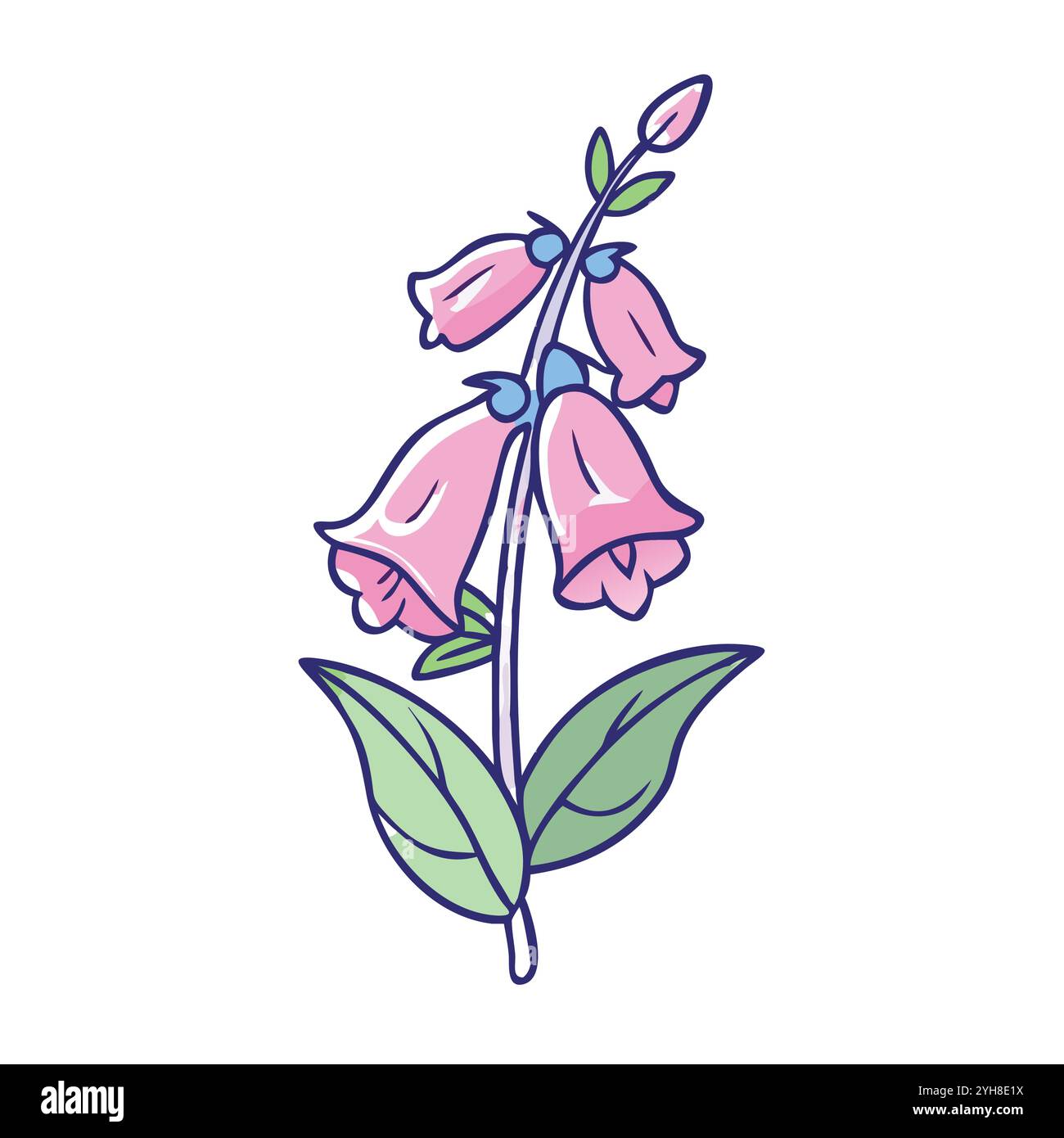 vector illustration of a foxglove flower, for floral designs, botanical ...
