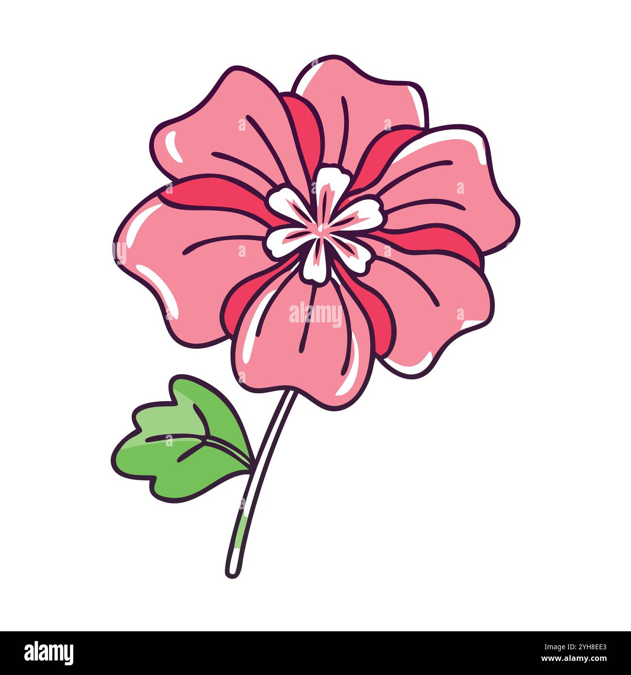 vector illustration of a geranium flower , for floral designs ...