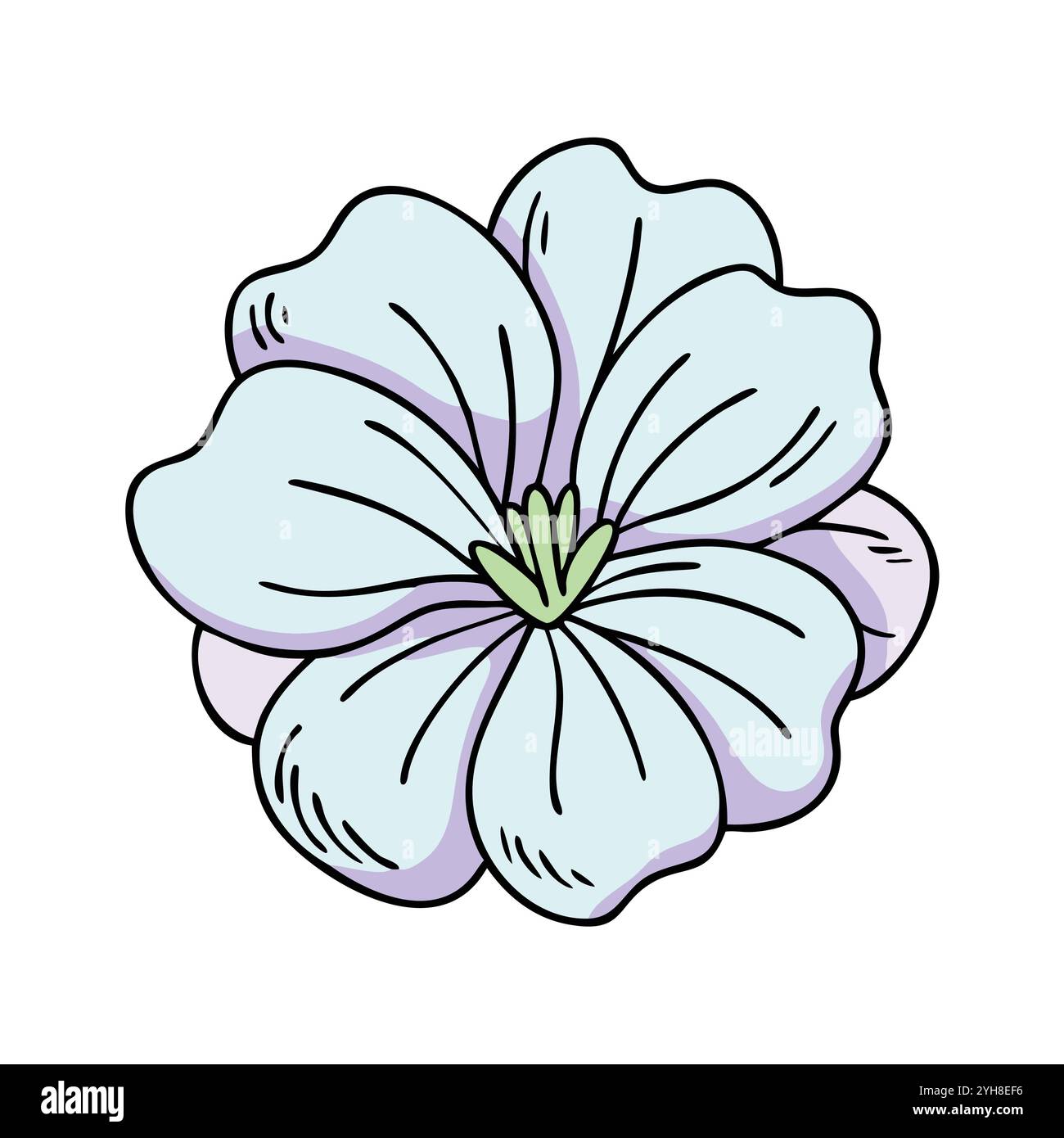 vector illustration of a geranium flower , for floral designs ...