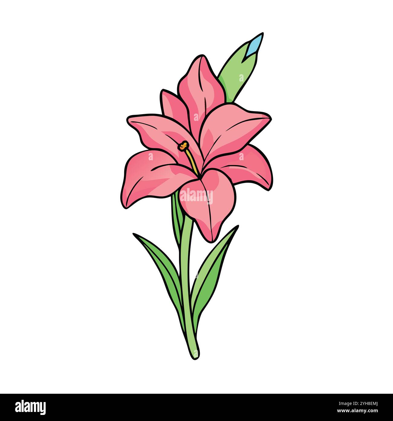 vector illustration of a gladiolus flower, for floral designs ...
