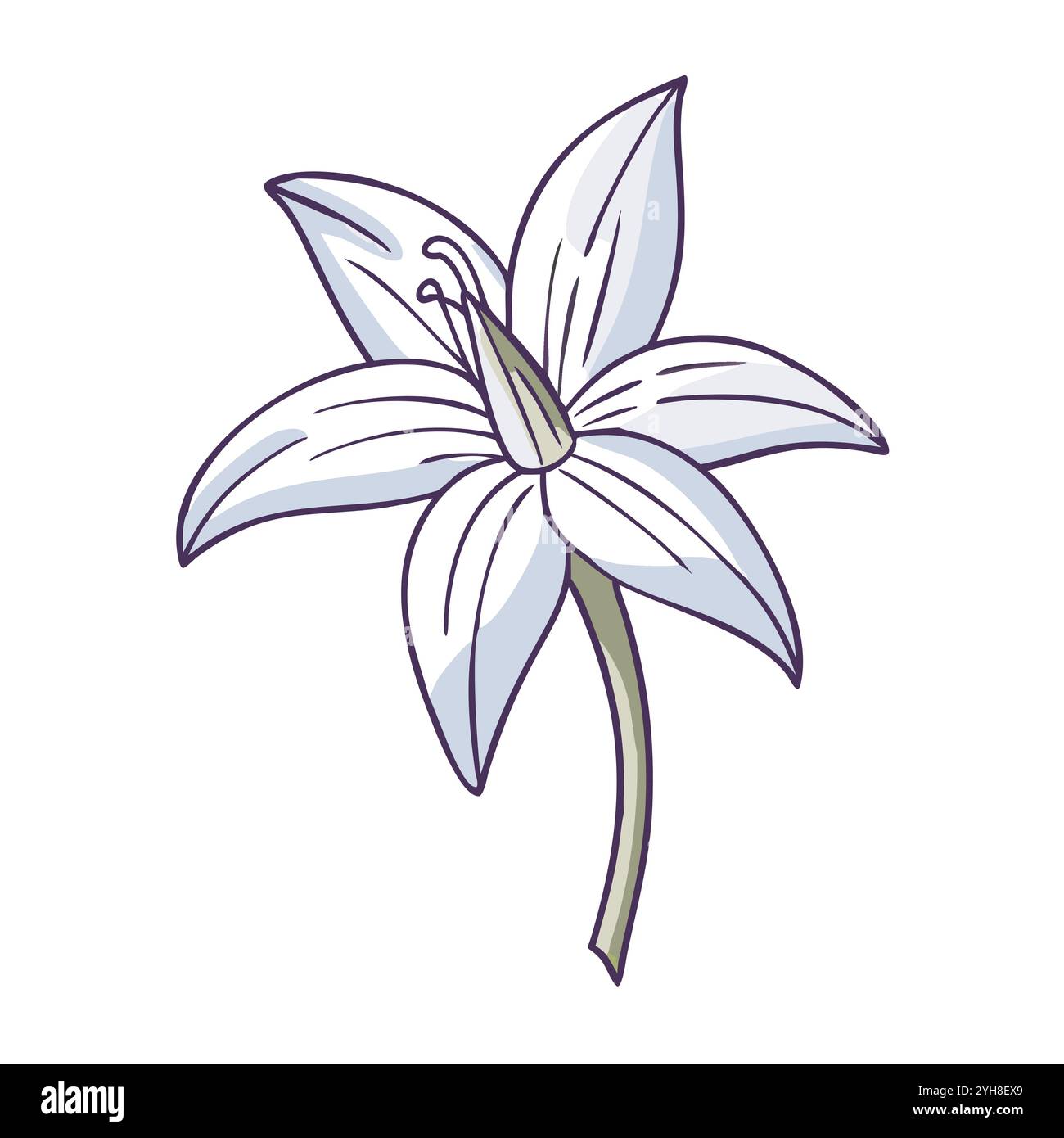 vector illustration of a hosta flower, for floral designs, botanical ...