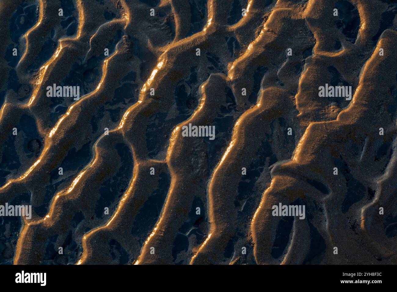 Abstract patterns formed in wet sand as ridges are lit by warm low ...