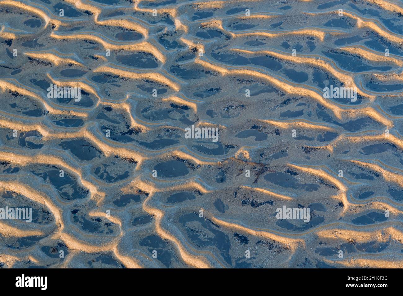 Abstract patterns formed in wet sand as ridges are lit by warm low ...