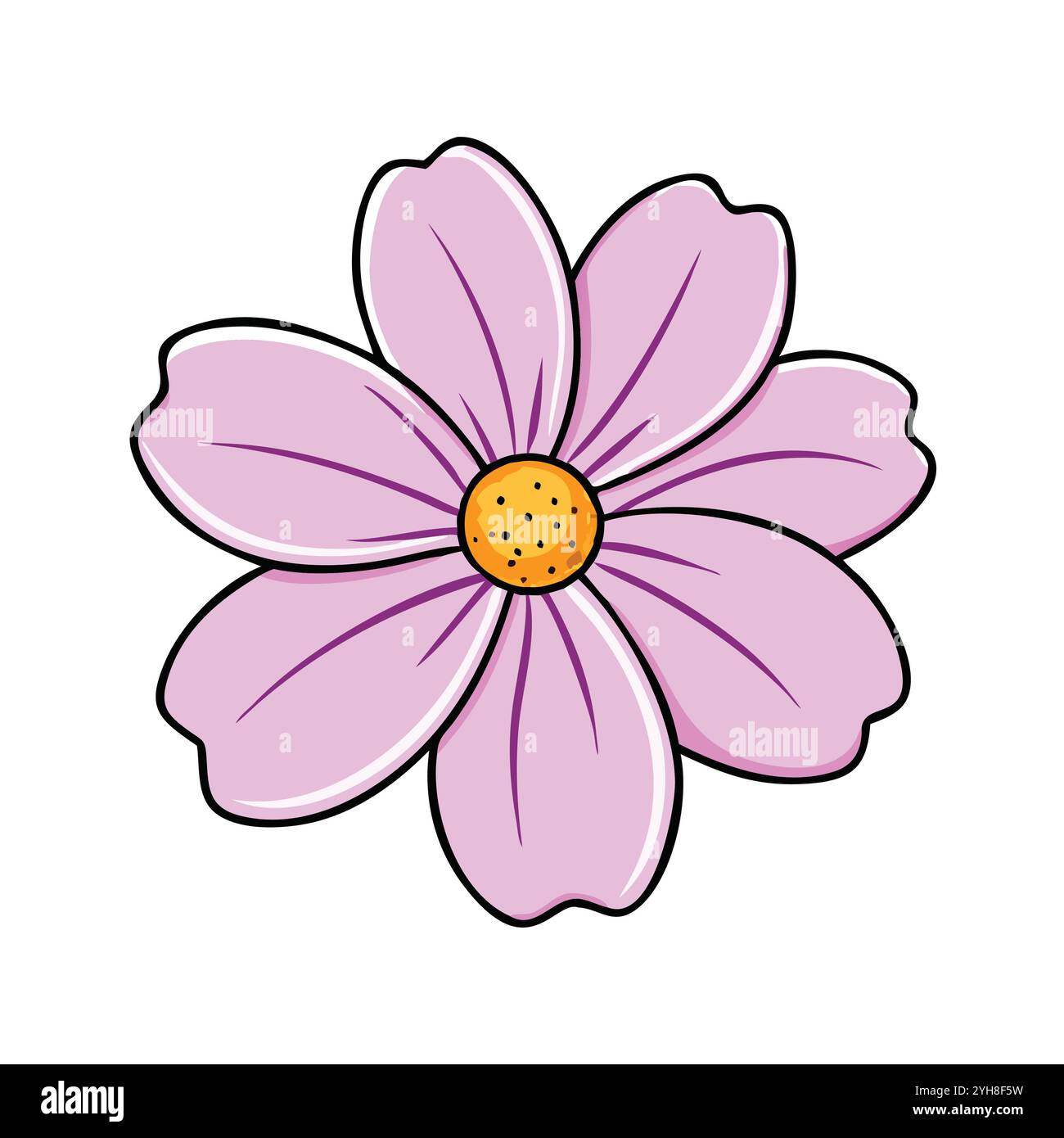 vector illustration of a cosmos flower, for floral designs, botanical ...