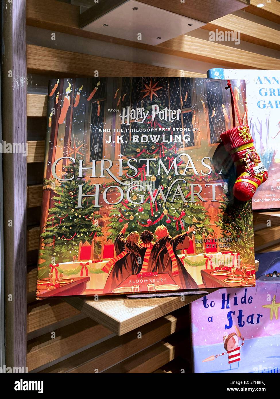 Harry Potter and the Philospher's Stone, by J.K. Rowling, Christmas ...