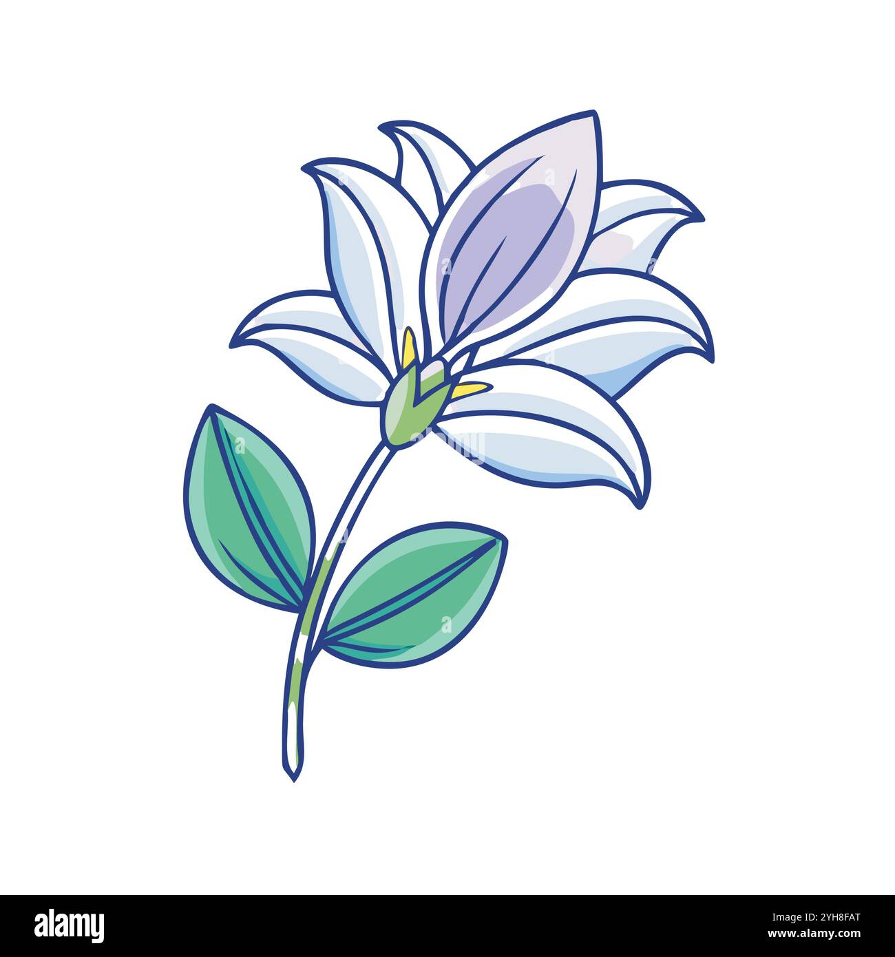 vector illustration of a hosta flower, for floral designs, botanical ...