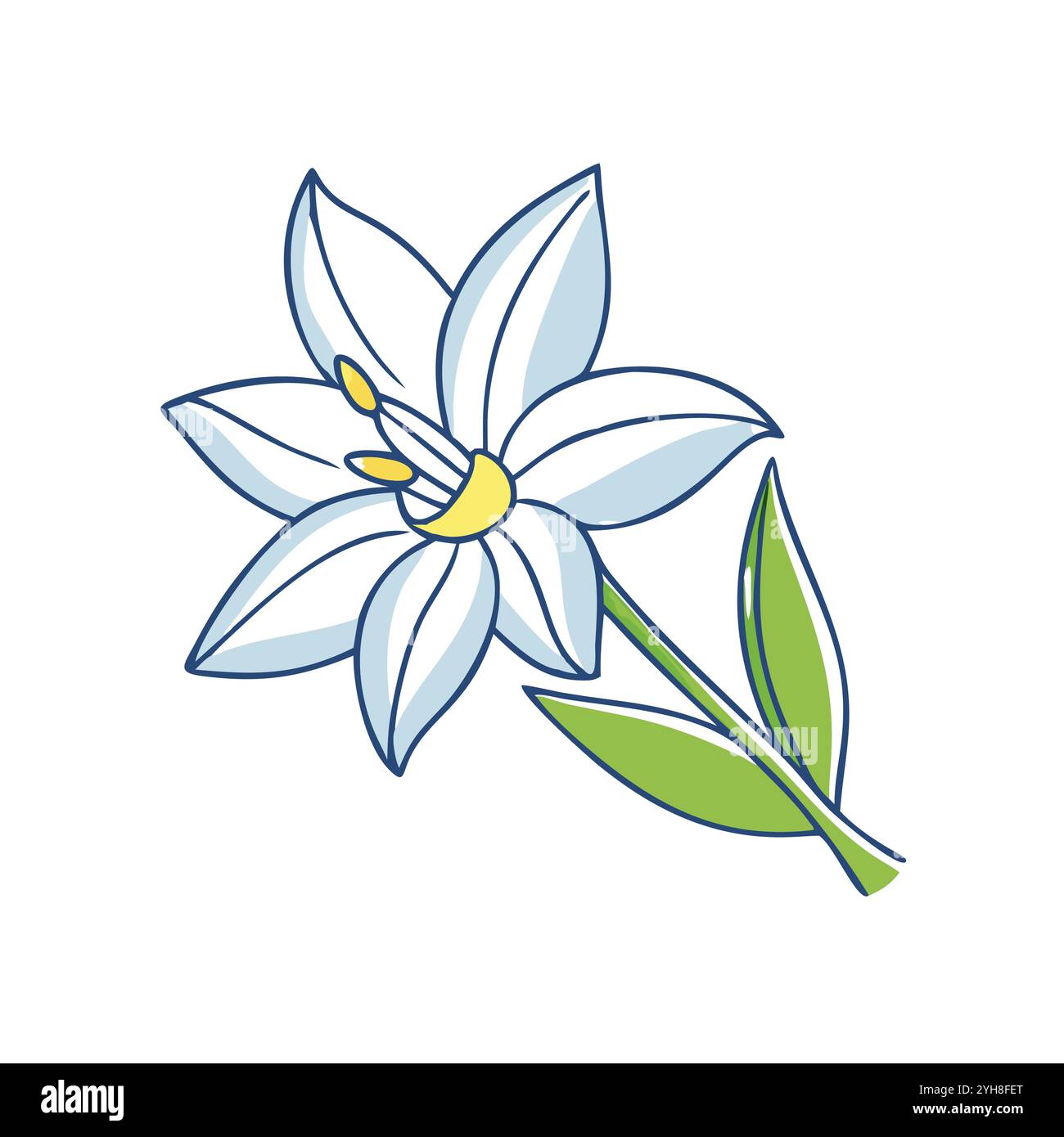 vector illustration of a hosta flower, for floral designs, botanical ...