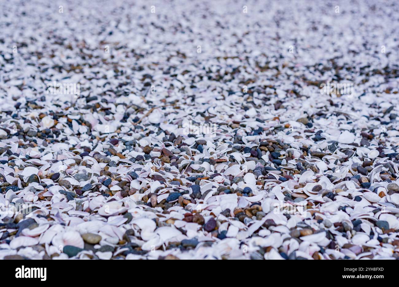 Beautiful pattern or texture as background or wallpaper for travel ...