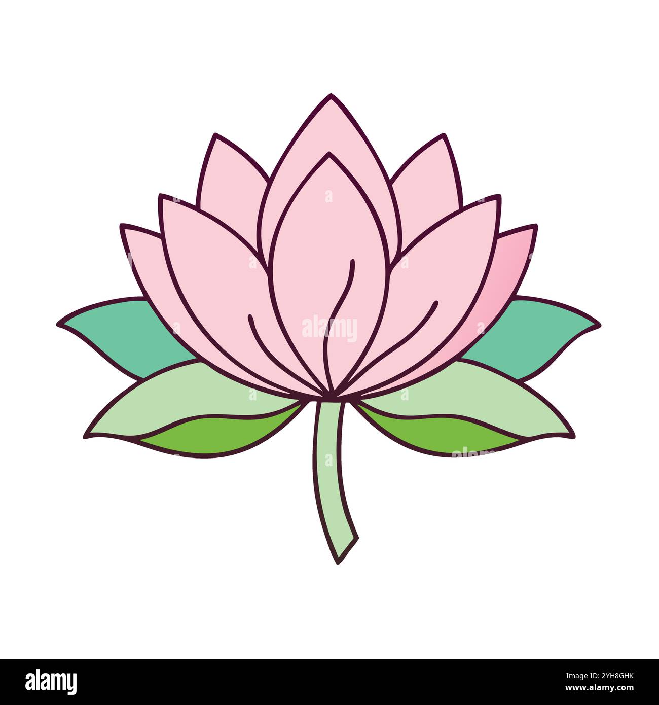 vector illustration of a lotus flower, for floral designs, botanical ...