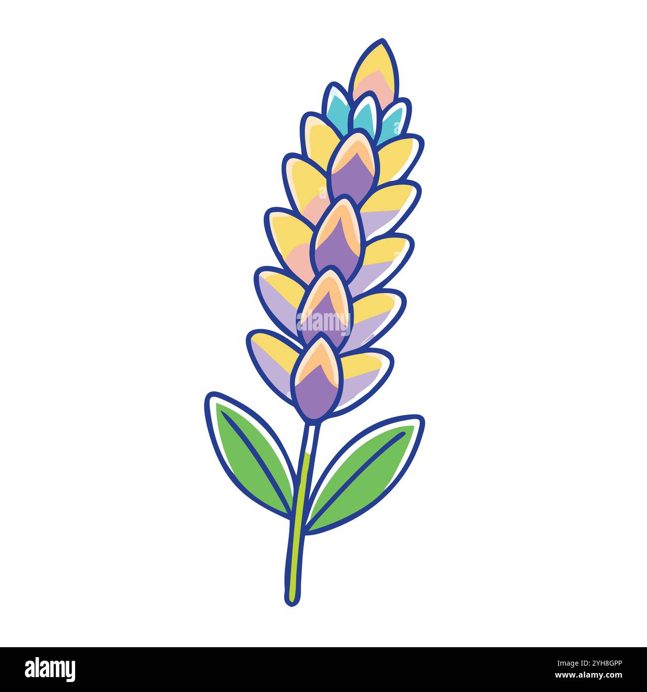 vector illustration of a lupine flower, for floral designs, botanical ...