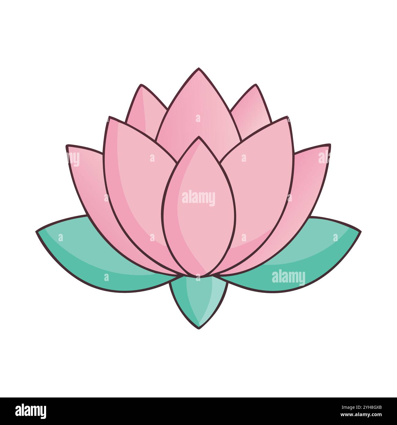 vector illustration of a lotus flower, for floral designs, botanical ...