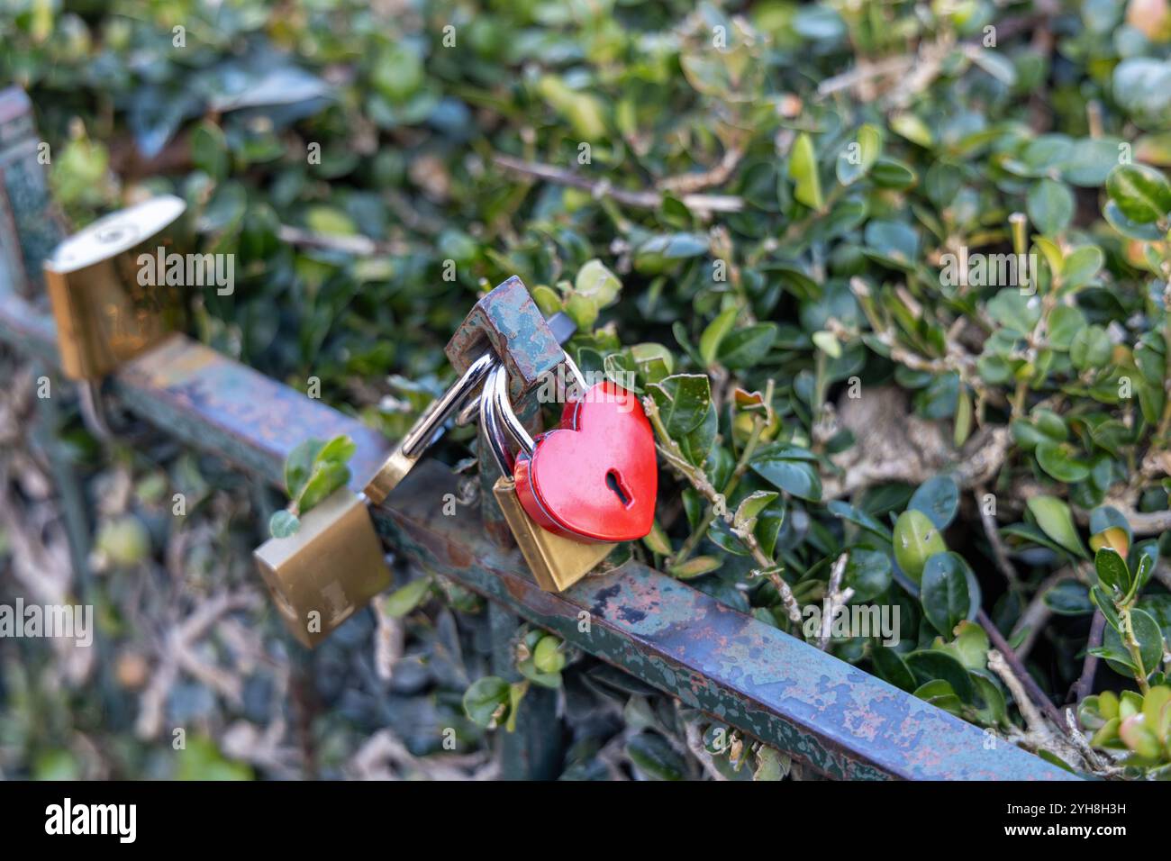 Closed love locks in the park as a sign of eternal love Stock Photo - Alamy