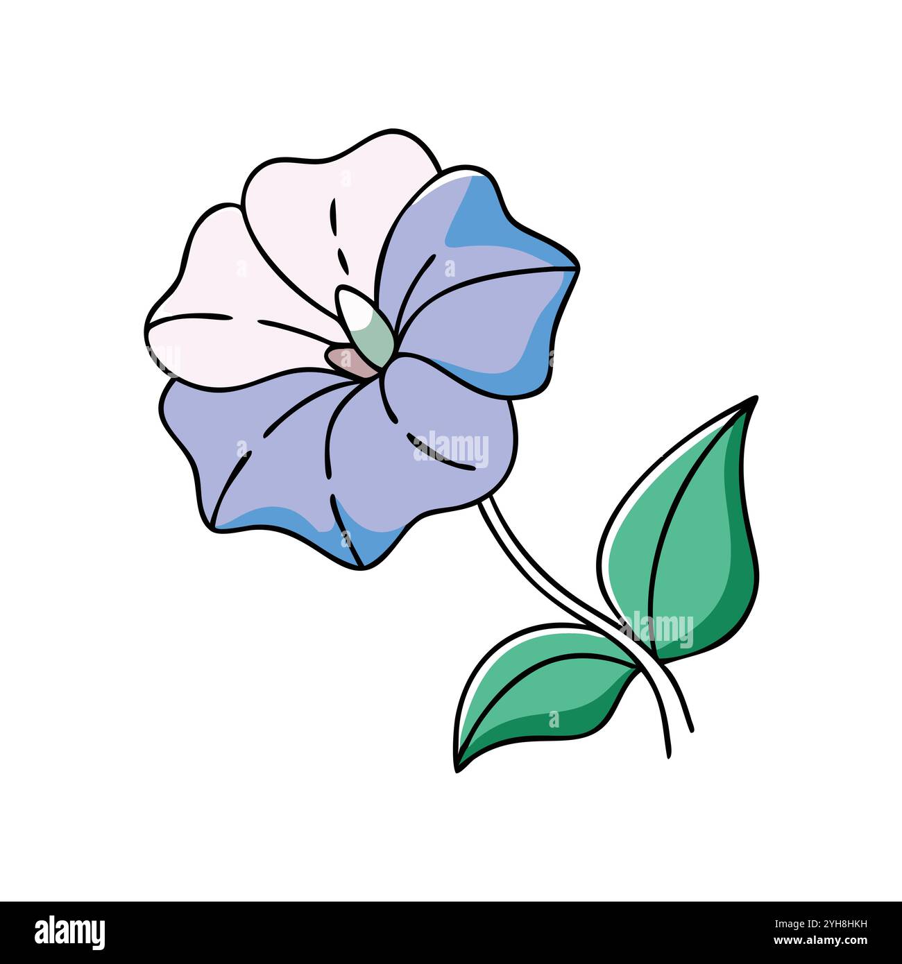 vector illustration of a morning glory flower, for floral designs ...