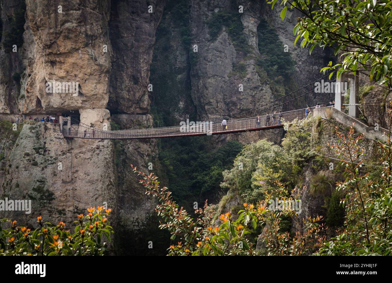 Yan dang hi-res stock photography and images - Alamy