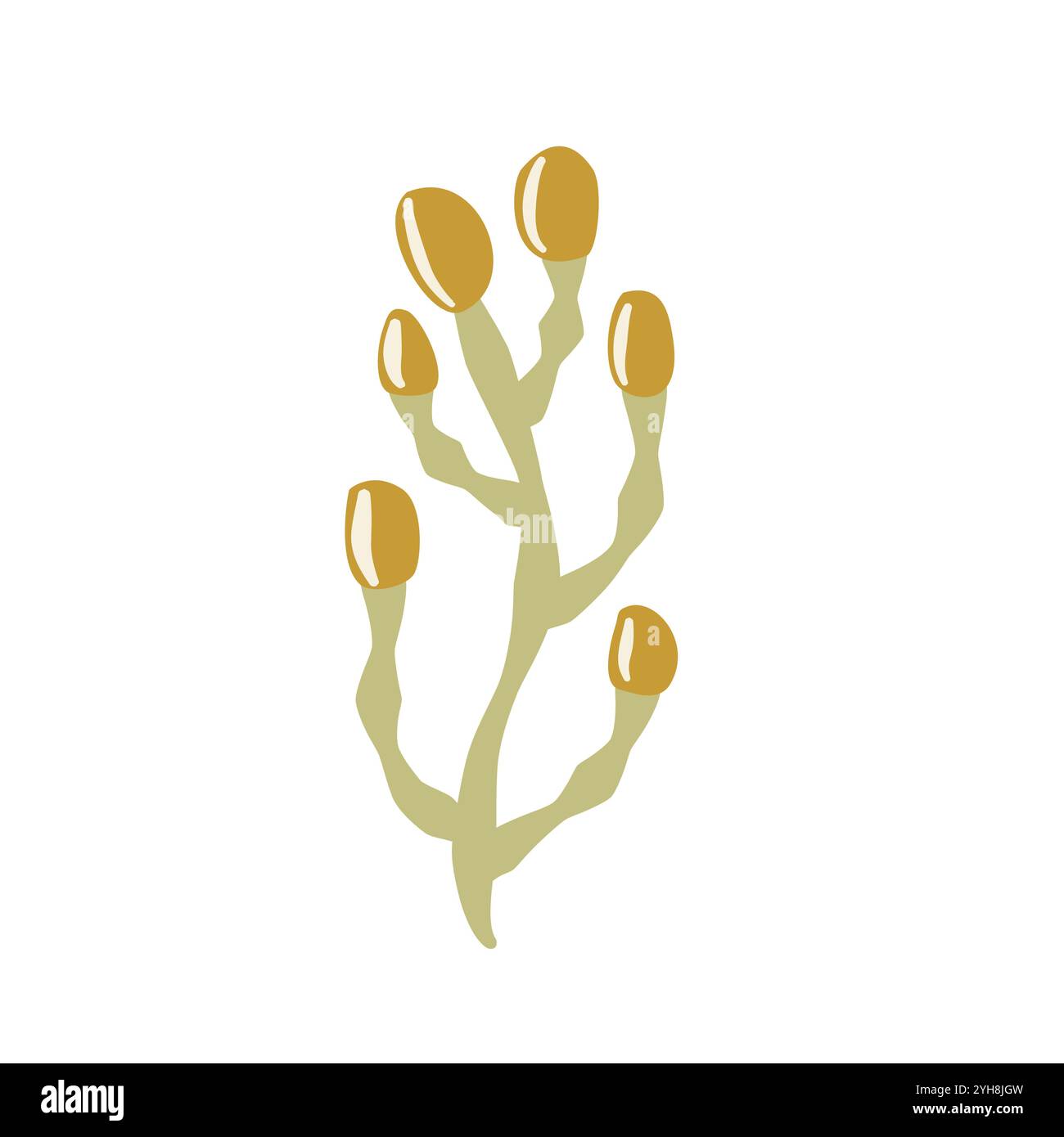 Simple, stylized branch illustration with yellow seed pods against a ...